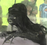 Heboh Makhluk Buncul di Cirebon