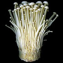 Jamur Enoki