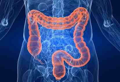 Cuci Perut Tak Boleh Keseringan Karena Bisa Iritasi Usus