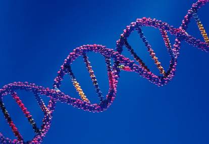 Beda Tes DNA Biasa dengan DNA Forensik