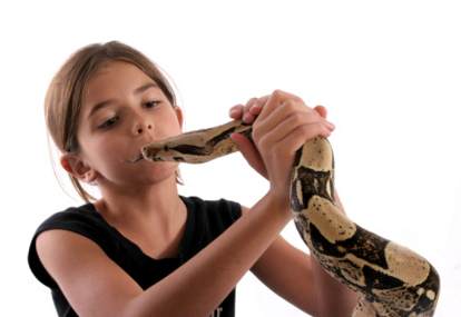 Pertolongan Pertama Saat Digigit Ular Berbisa