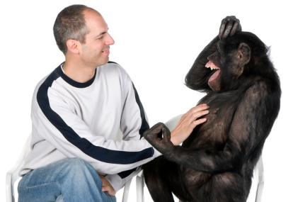 Otak Manusia dan Simpanse Sama Saat Masih Bayi