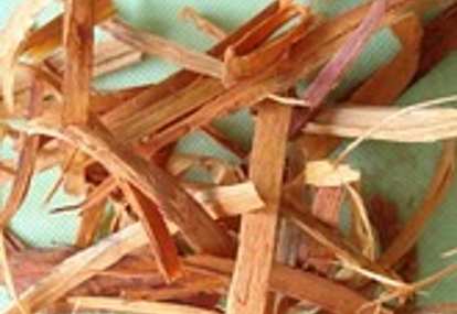 Herbal Secang yang Serbaguna