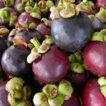 Hore! Australia Buka Kran Impor Manggis & Mangga Asal Indonesia