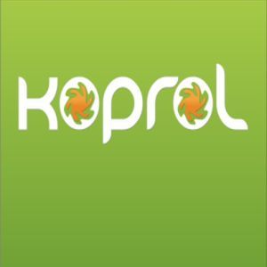 Koprol, Perjuangan Aplikasi Lokal yang Ingin Mendunia