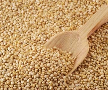 Apa Itu Quinoa?