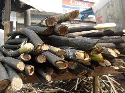 Nyam...nyam Sedapnya Rotan Muda Plus Serundeng!