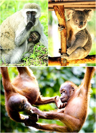 7 Suaka Margasatwa yang Paling Menarik untuk Dikunjungi