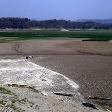 Peluang di Tengah Keringnya Waduk Pacal