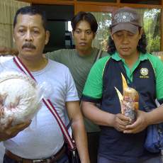 Penyelundupan Daging Trenggiling Digagalkan