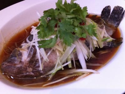 Resep Seafood: Steamed Garoupa Fish with Superior Soya Sauce