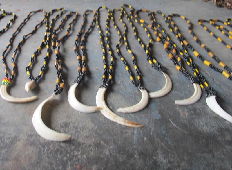 Wow! Banyak Taring Babi di Pasar Ini