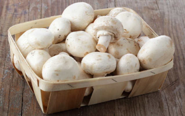 Ganti Konsumsi Daging Merah dengan Jamur Agar Berat Badan Cepat Turun