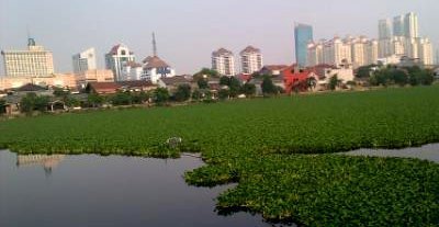 Banyak Eceng Gondok, Waduk Tomang Mulai Dibersihkan