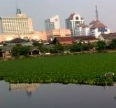 3 Bulan Tak Diurus, Waduk Tomang jadi Lautan Eceng Gondok