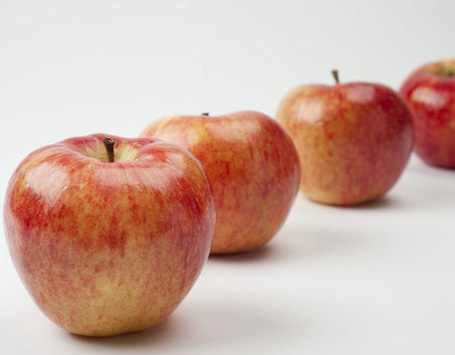 Ini Dia 3 Jenis Apel Baru: Riverbelle, SnapDragon dan Ruby Frost