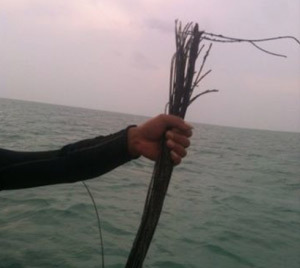 Kabel Laut Putus, Operator Rugi Rp 30 Miliar