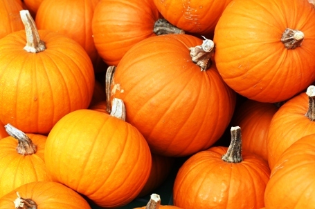 Labu Kuning 'Halloween' Bikin Awet Muda dan Gairah Seks Jadi Kuat