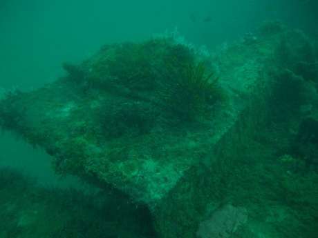 23 Tentara Hitler Tewas dalam Kapal Selam U-Boat di Karimun