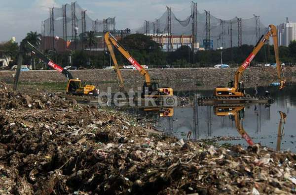 Jokowi: Saking Banyaknya Tanaman, Waduk Bisa Jadi Lapangan Bola