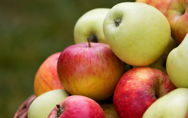 15 Khasiat Hebat Apel, Cegah Kanker, Batu Empedu hingga Katarak (1)