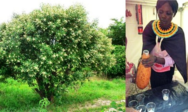 Mursik, Rahasia Orang Kenya Punya Tubuh Fit dan Bugar