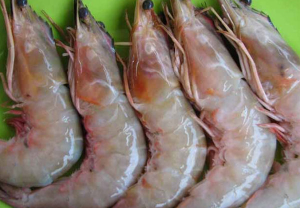 Udang Jerbung atau Udang Windu, Mana yang Lebih Enak untuk BBQ?