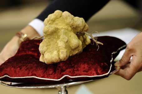 Ini Dia 10 Makanan Termahal di Dunia yang Berharga Lebih dari 50 Juta ...