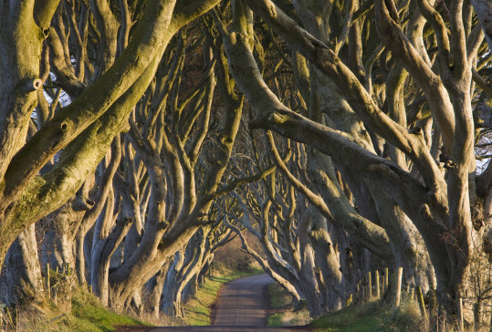 Inikah Jalan Terseram, Sekaligus Terindah di Dunia?