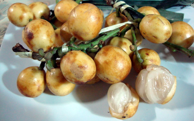 Menteng, Si Bulat Mungil Kembaran Duku yang Asam Segar