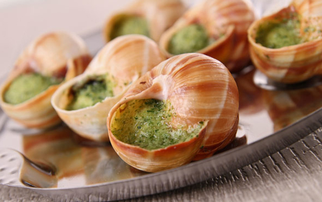 Serangan Cacing New Guinea pada Bekicot di Eropa Picu Kenaikan Harga ...