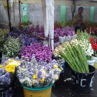 Pasar Bunga Rawa Belong Mirip Pasar Modal