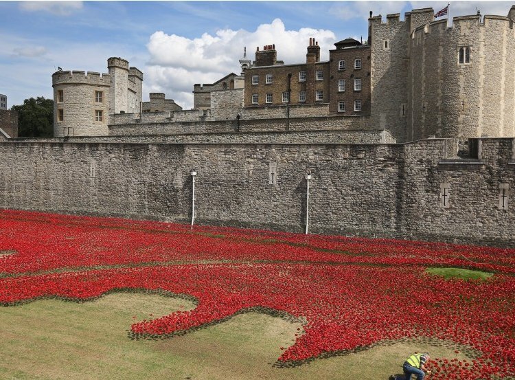 Keren! Tower of London Dikelilingi Ribuan Bunga Keramik (1)