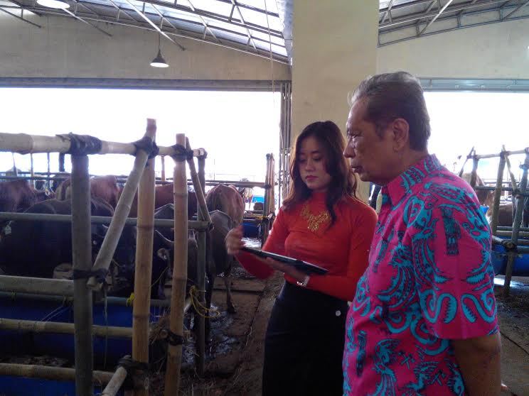 Pakai Tablet dan Tongkat, SPG Cantik Layani Pembeli Sapi Qurban