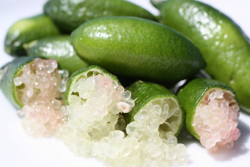 Finger Lime, Jeruk dengan Bulir Cantik Mirip Kaviar