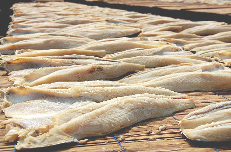 Ikan Manyung dan Ikan Layang, Jenis Ikan Laut Populer untuk Ikan Asin (1)