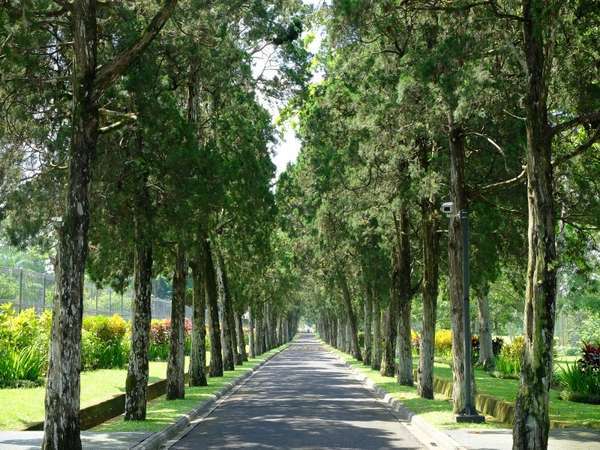 Ini Dia 10 Kota Tersehat di Indonesia Ini Dia 10 Kota Tersehat di Indonesia