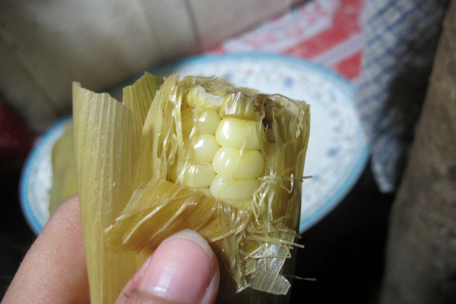 Ke Sumbawa, Jangan Lupa Cicip Lezatnya Jagung Ketan Ke Sumbawa, Jangan Lupa Cicip Lezatnya Jagung Ketan
