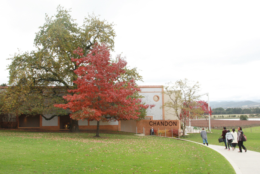 Yuk, Melihat Kebun Anggur & Pembuatan Wine di Australia