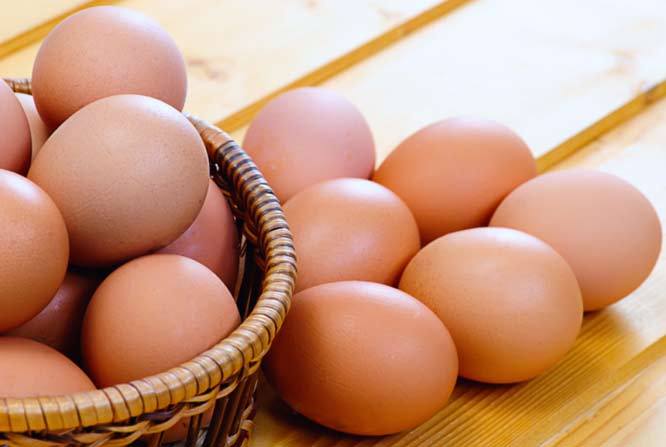 Ini 7 Fakta Sehat Soal Telur yang Perlu Anda Ketahui