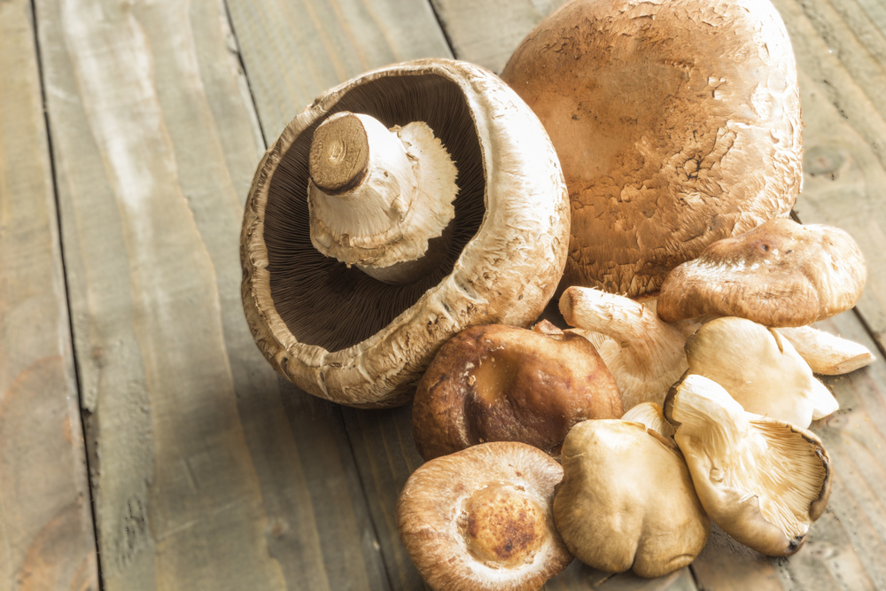 Ciri Jamur Enoki Busuk Dalchaebi