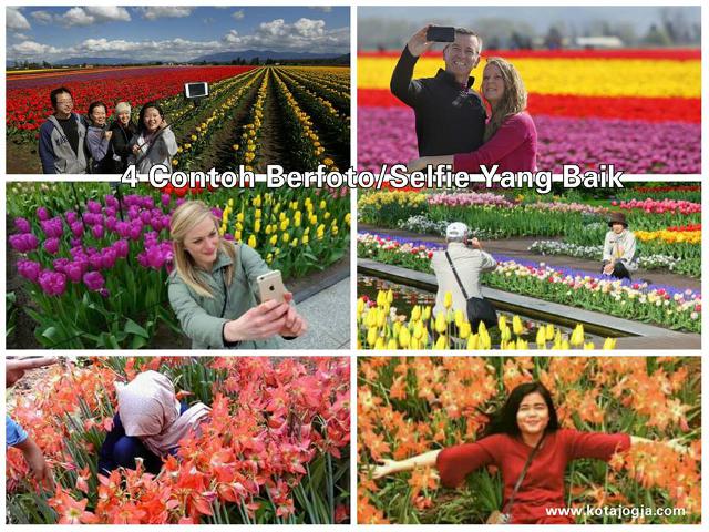 Memes Sindir Perusak Bunga