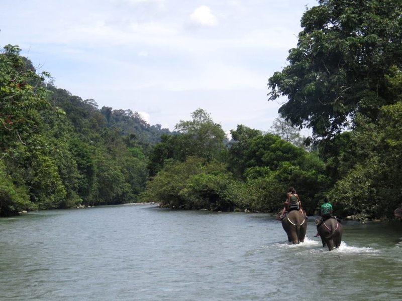 10 Fakta Taman Nasional Gunung Leuser yang Dikunjungi Leonardo Dicaprio