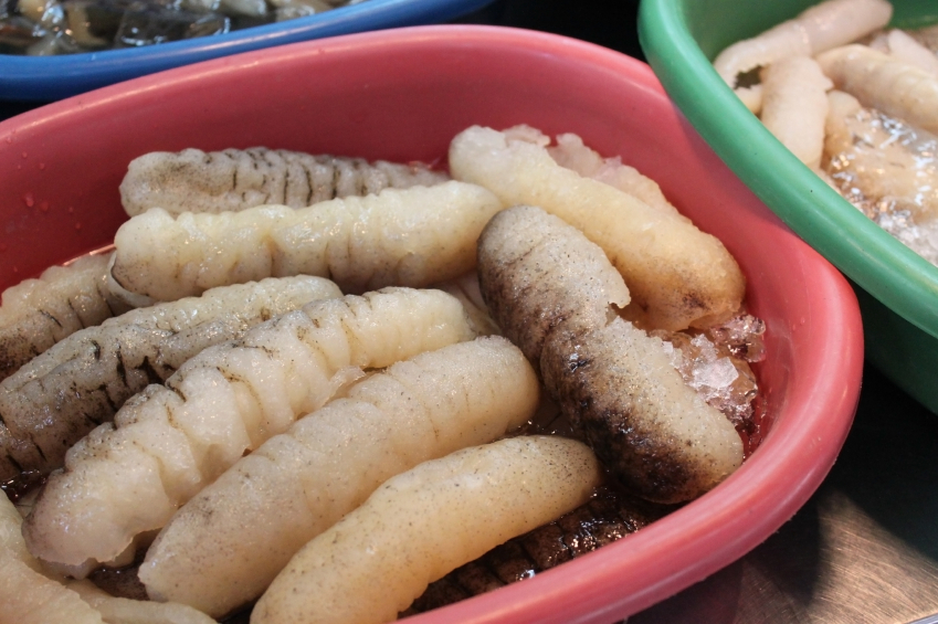 Teripang yang Kaya Protein dan Kolagen Bisa Diolah Jadi Kosmetik dan ...