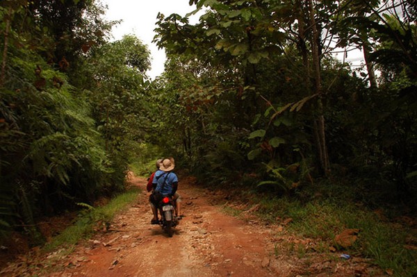 Taman Nasional Bukit Tigapuluh (TNBT)
