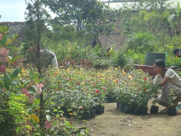 Kopeng, Taman di Atas Bukit