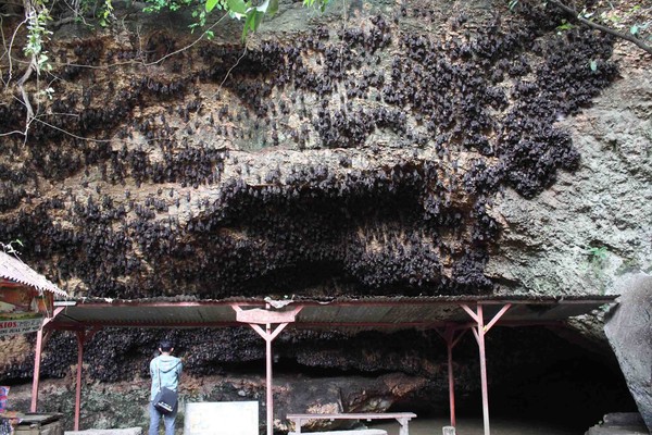 Goa Ngerong, Goa Kelelawar dan sungai ikan