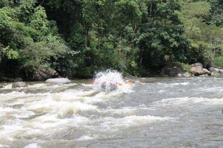 Arung Jeram di Sungai Alas, Hanya untuk Para Pemberani!