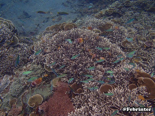 Menguak keindahan tersembunyi di balik Krakatau