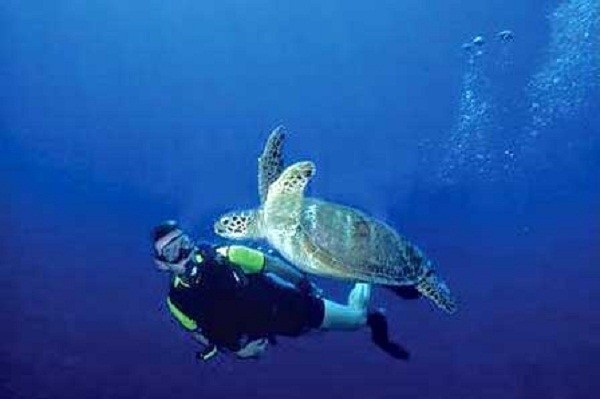 Ada Surga di Bawah Laut Banda